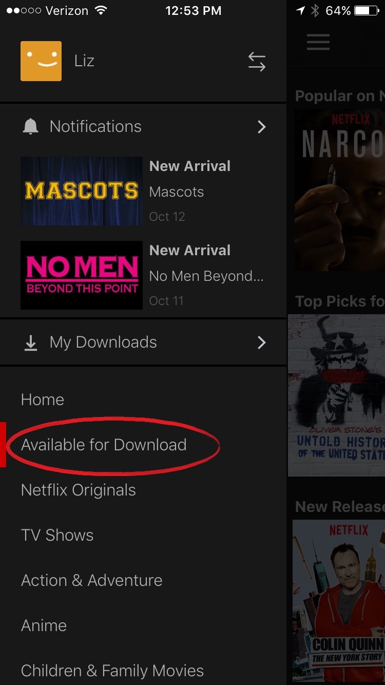 Netflix Introduces 'Offline' Mode - Mobile Internet Resource Center